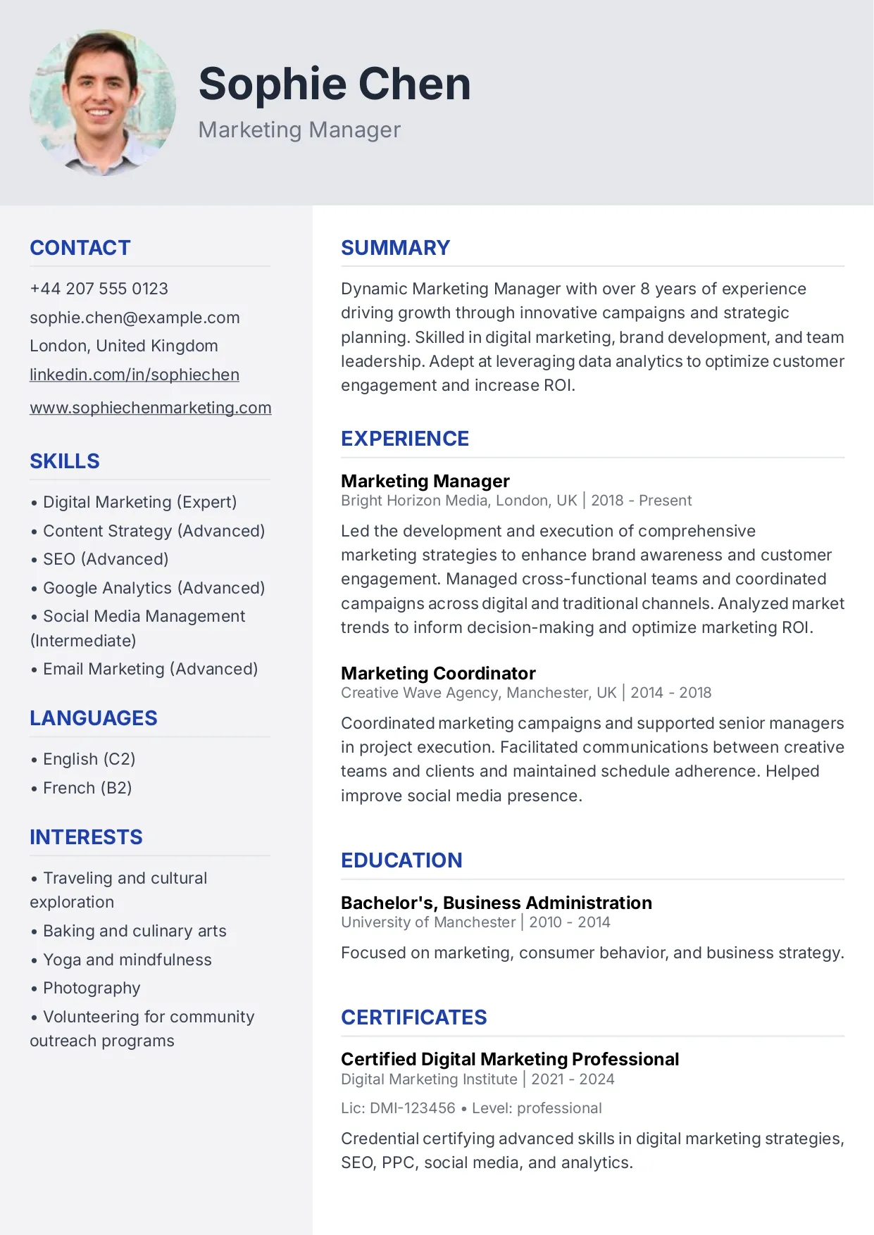 Professional CV Template - Standard Professional